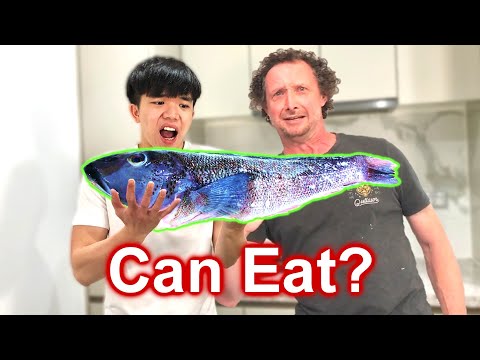 Asian Learn Fishing From Australian (not what you expect) 马来西人和澳洲人学钓鱼，然后自己煮来吃！味道比餐馆厉害