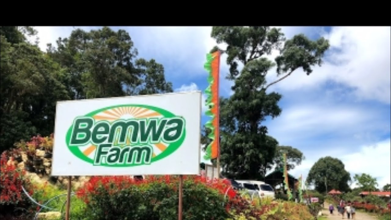 BEMWA FARM BUDA BUKIDNON TOUR W/MY WIFE AND FRENDS #bukidnon #Bemwa # ...