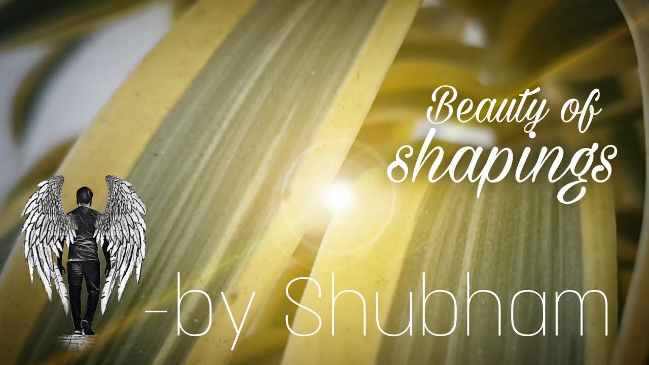 Beauty of Shapings.🌱🌱 - YouTube