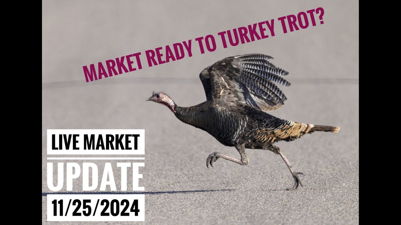 Live Market Update with 12 Minute Trading - Dave Lukas and Doc Severson ...