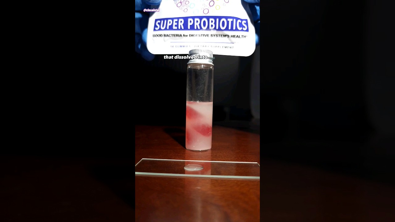 Gummy Probiotics Under Microscope (Good Bacteria) - YouTube