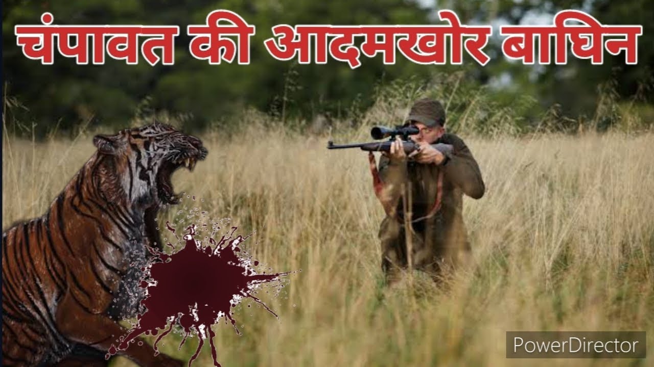 Maneater Tiger Of Champawat & Jim Corbett #viral - YouTube