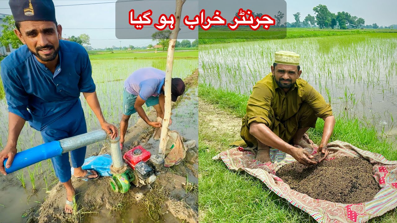 Dhaan ki Fasal mein Taqat ka khzana Daal diya | mini Tubewell Khrab ...