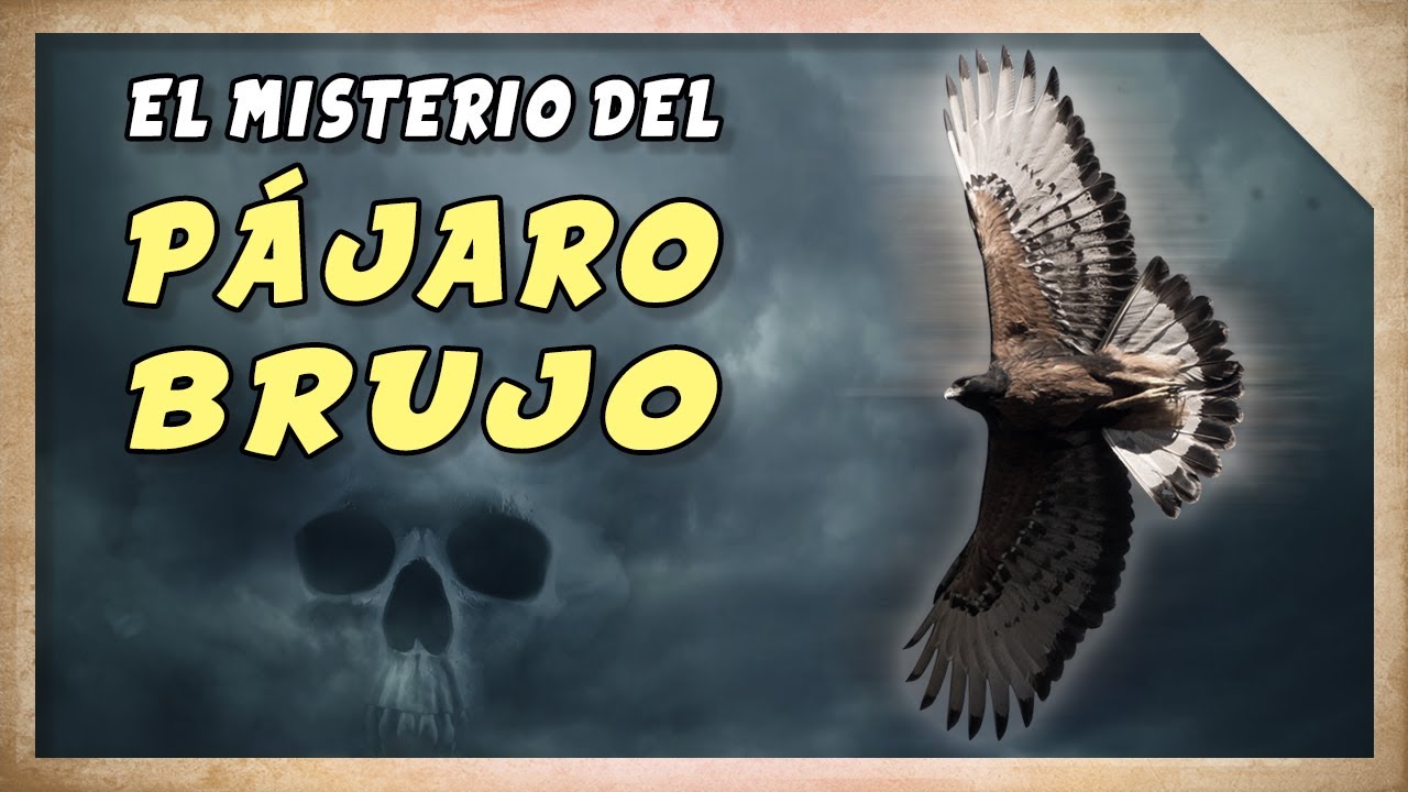 El HUAY COT l El misterio del PÁJARO BRUJO l Relatos Aluxinantes - YouTube