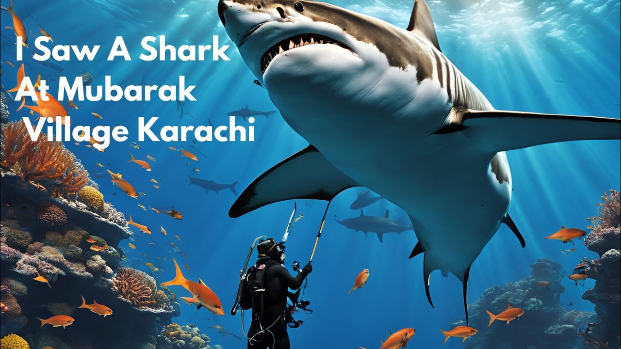 I Saw A Shark At Mubarak Village Karachi - YouTube