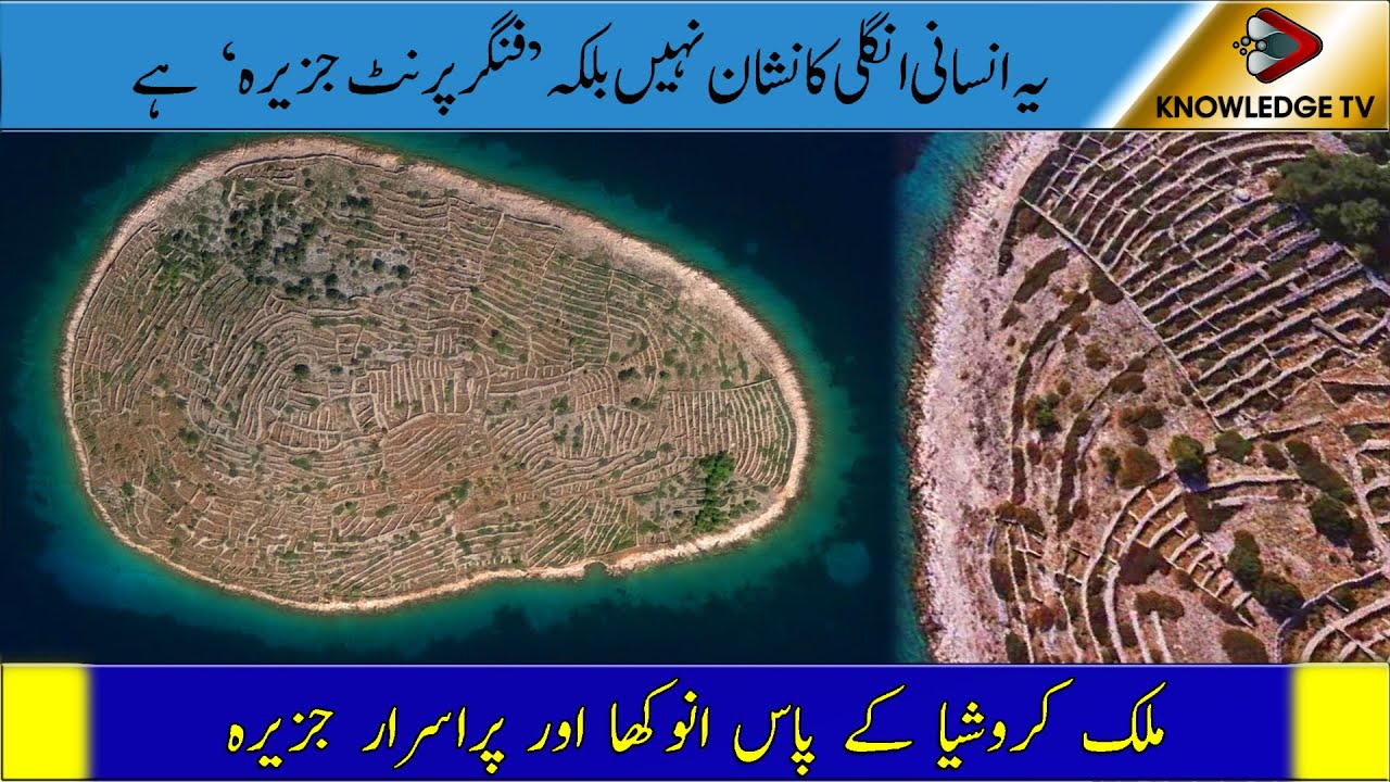 FingerPrint Island | Croatian bavljenac Island Looks Like A Fingerprint ...