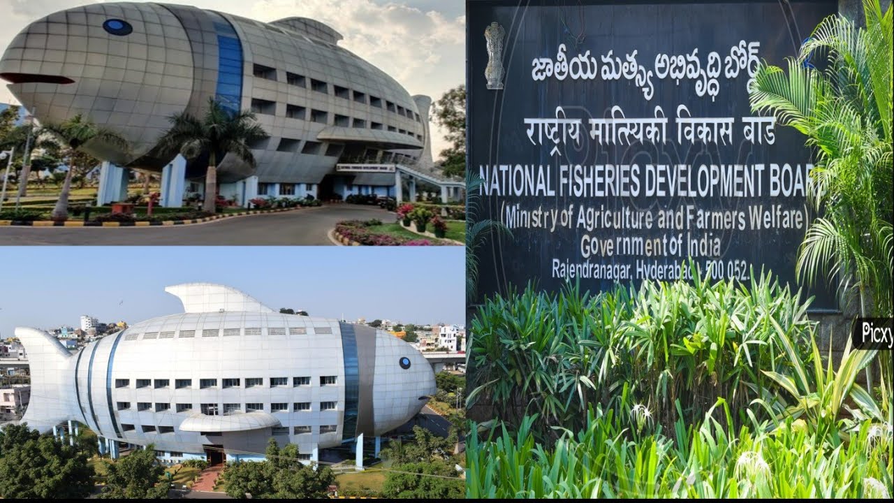 National Fisheries Development Board, Telangana/Best Architecture in ...