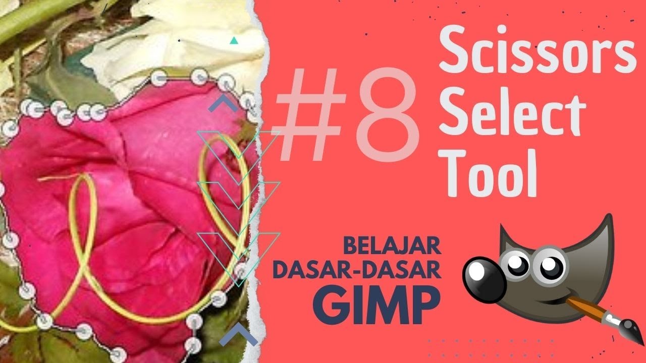 Belajar Dasar GIMP 8 Scissors Select Tool YouTube Belajar Dasar GIMP 8 Scissors Select Tool YouTube