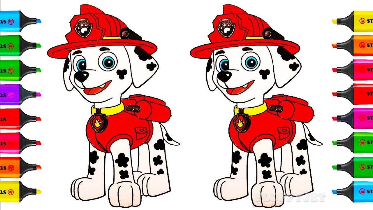 how to draw Paw Patrol Marshall - YouTube