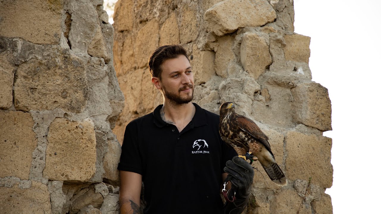 Raptor Peak Falconeria - Poiana di Harris - Frank Gervasio spot trailer ...