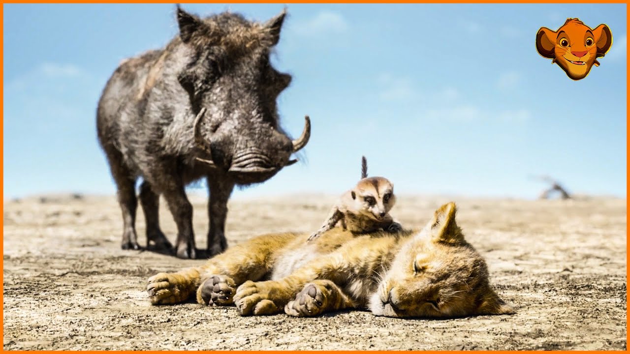 THE LION KING 2019 | Simba Son of the King Recap | - YouTube