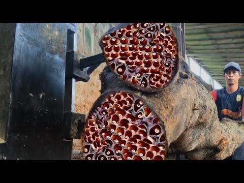 Discovering worst thing full of horror!! Brutal attack sawing branches teak tree