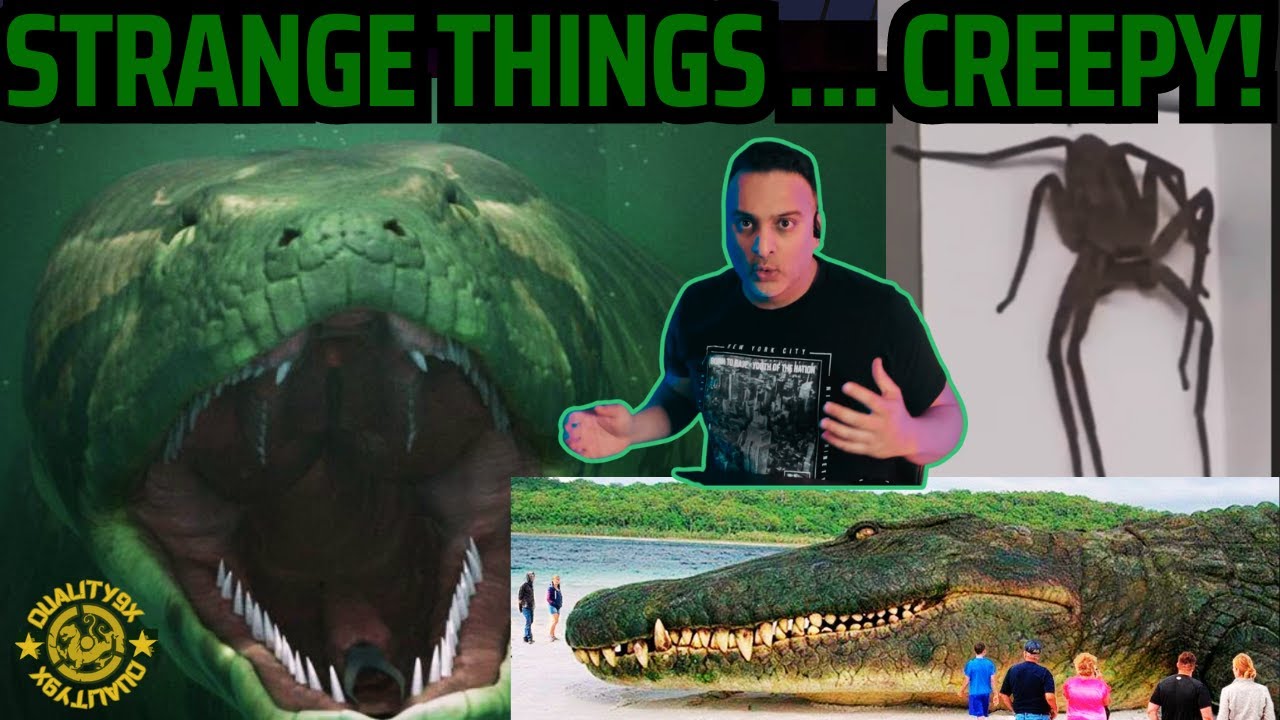Strange & Creepy Videos that will Make You Question EVERYTHING ...