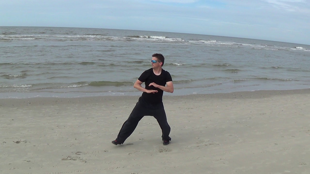 Dai Fan Che Kuen - M-Kung- Fu - Seven Star Mantis Kung Fu (ab18) - YouTube