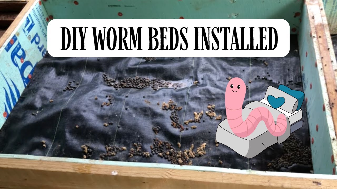 Insulated Red Wiggler Worm Beds Installed - YouTube