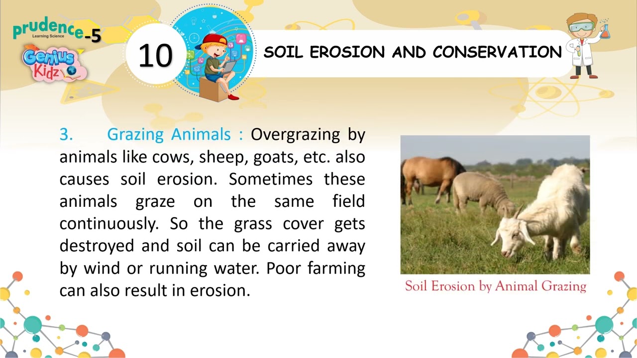 Soil Erosion By Animals