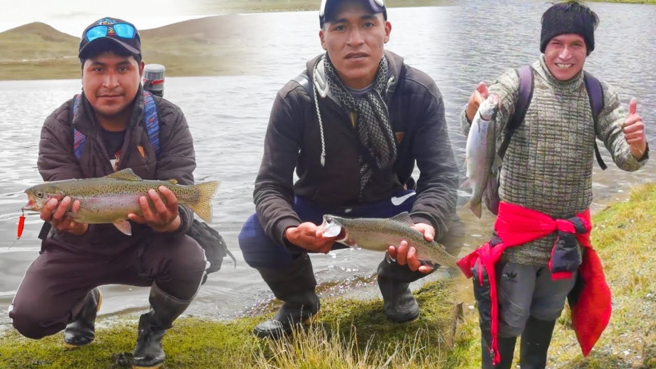 pescando TRUCHAS EN LAGUNAS !!! pesca peru - YouTube