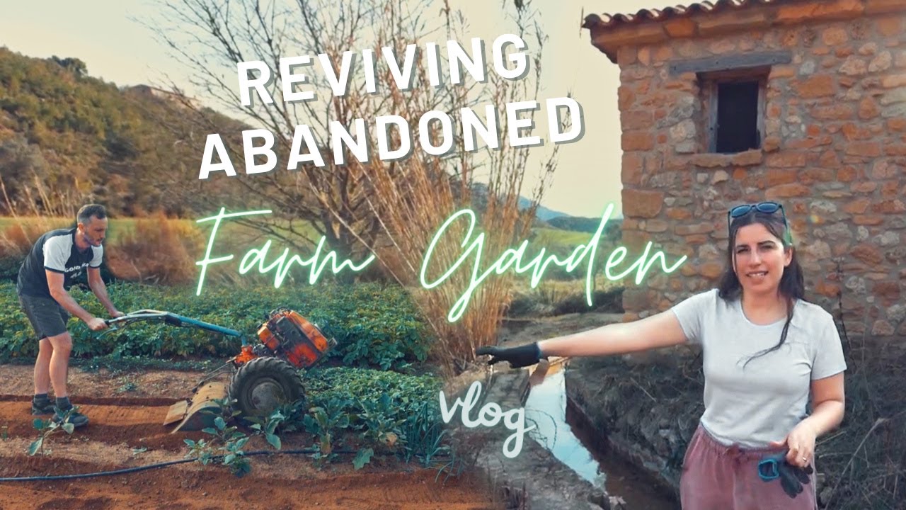 Growing our own vegetal garden - Restoring an old farm field - Three ...