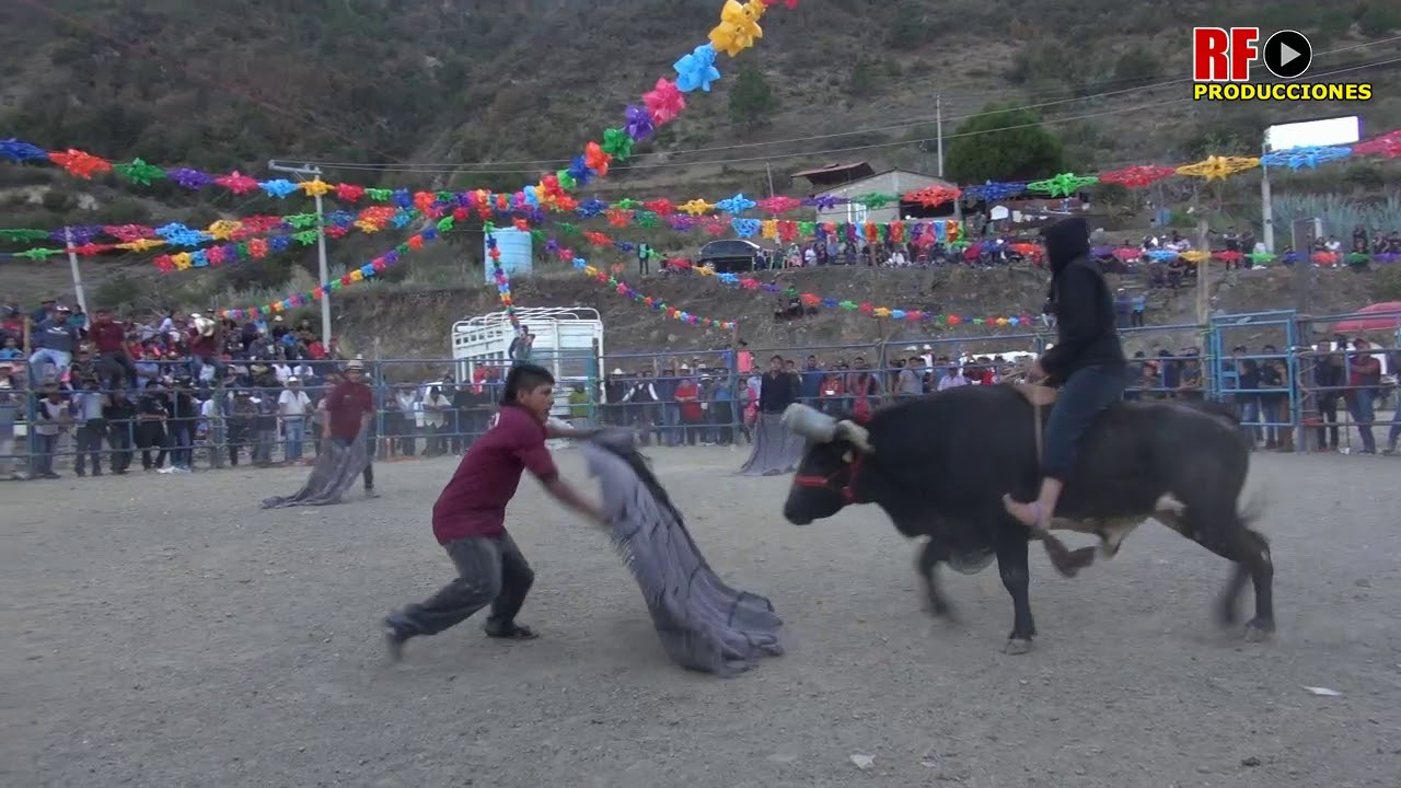 Toro el bebé - YouTube