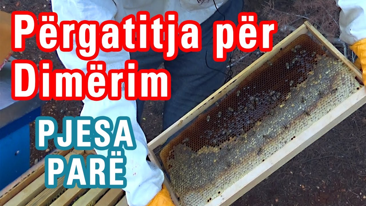 🔴Episodi 10: Përgatitja për Dimërim pjesa e parë - YouTube