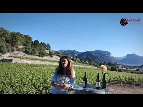 #EnoturismoParaSanitarios158 Bodegas!Bodega Oloron - YouTube