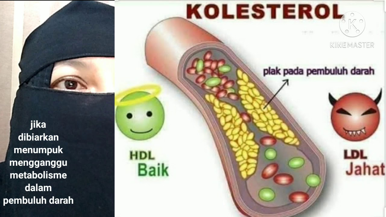 Berbuih?Darah Bekam, Pekat?😱 Termasuk pada Tipe apa darah bekam anda ...