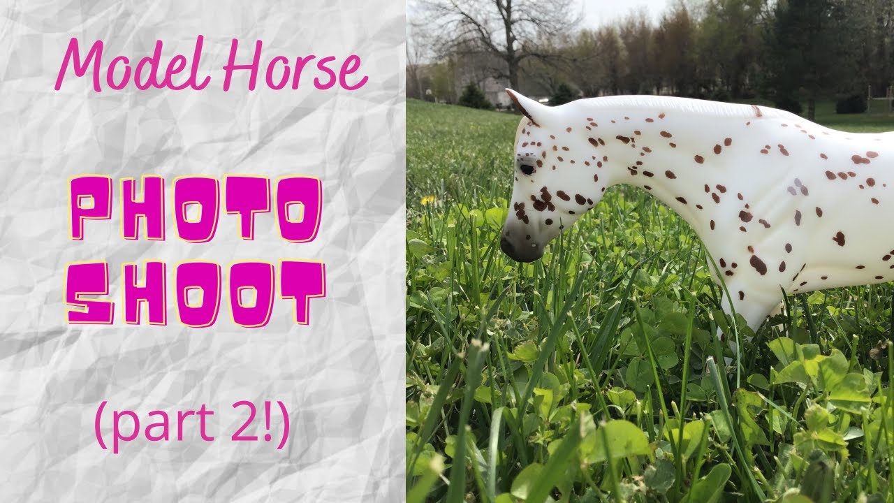 Model Horse Photography! (part 2) - YouTube