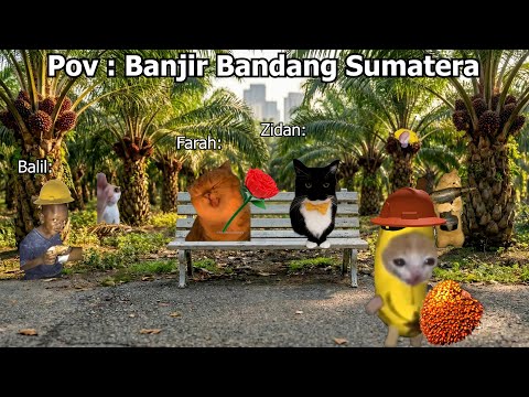 Pov : Banjir Bandang Sumatera | meme kucing 🤣 72