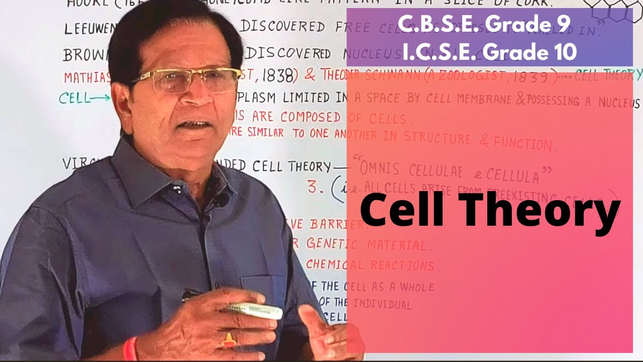 Cell Theory || Grade 9 & 10 Biology - YouTube