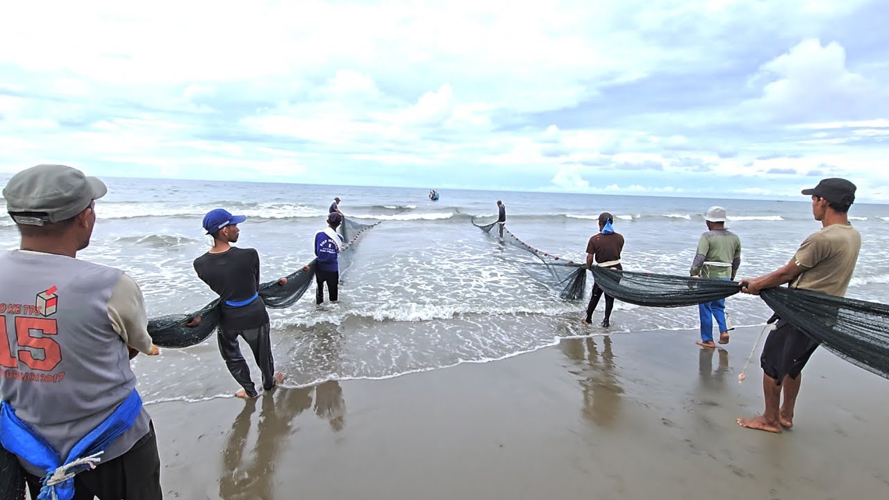 The Most Amazing Shoreline Trawl Net Catching Fish With Nets - YouTube