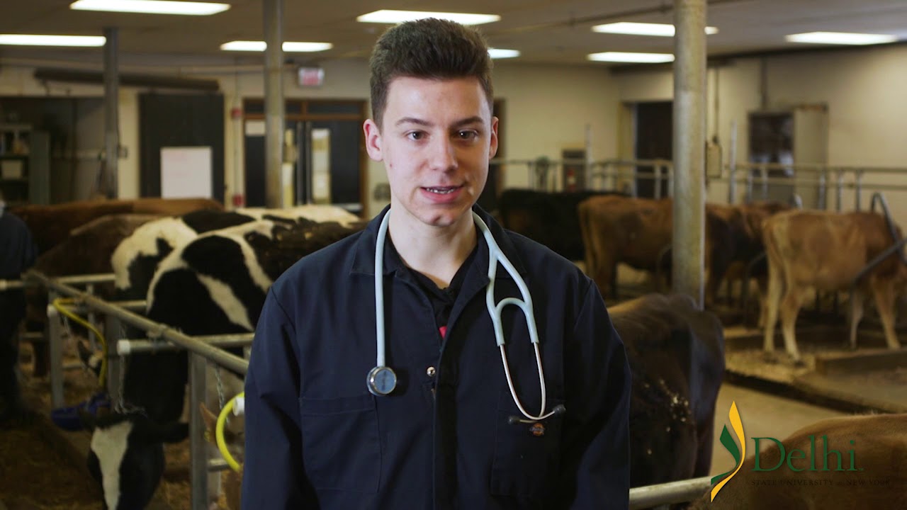 Why Veterinary Science Technology? - YouTube