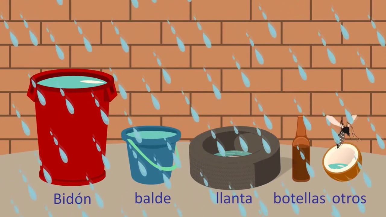 Lava, Tapa, Voltea y Tira - YouTube