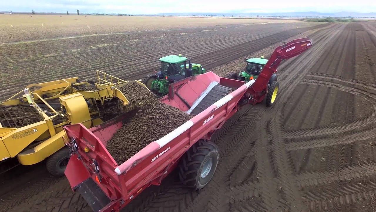 When the digging gets tough, the tough get a Crop Cart! - YouTube