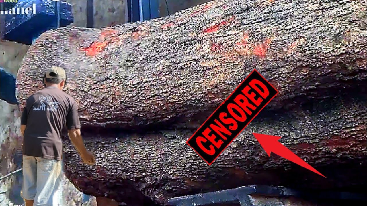 Short Sawing Process for Hardwood || Amazing Woodworking || Sawmill ...