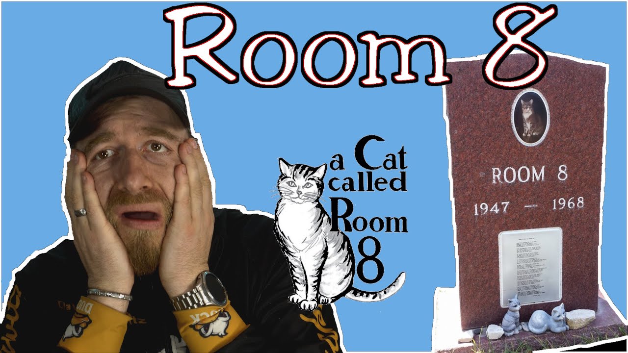 Die Legende von Room8 - Die berührende Geschichte einer Katze, die eine ...