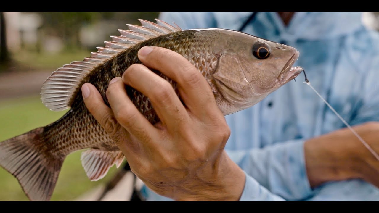 SNAPPER FISHING - NON-STOP ACTION ALL KEEPERS! - YouTube