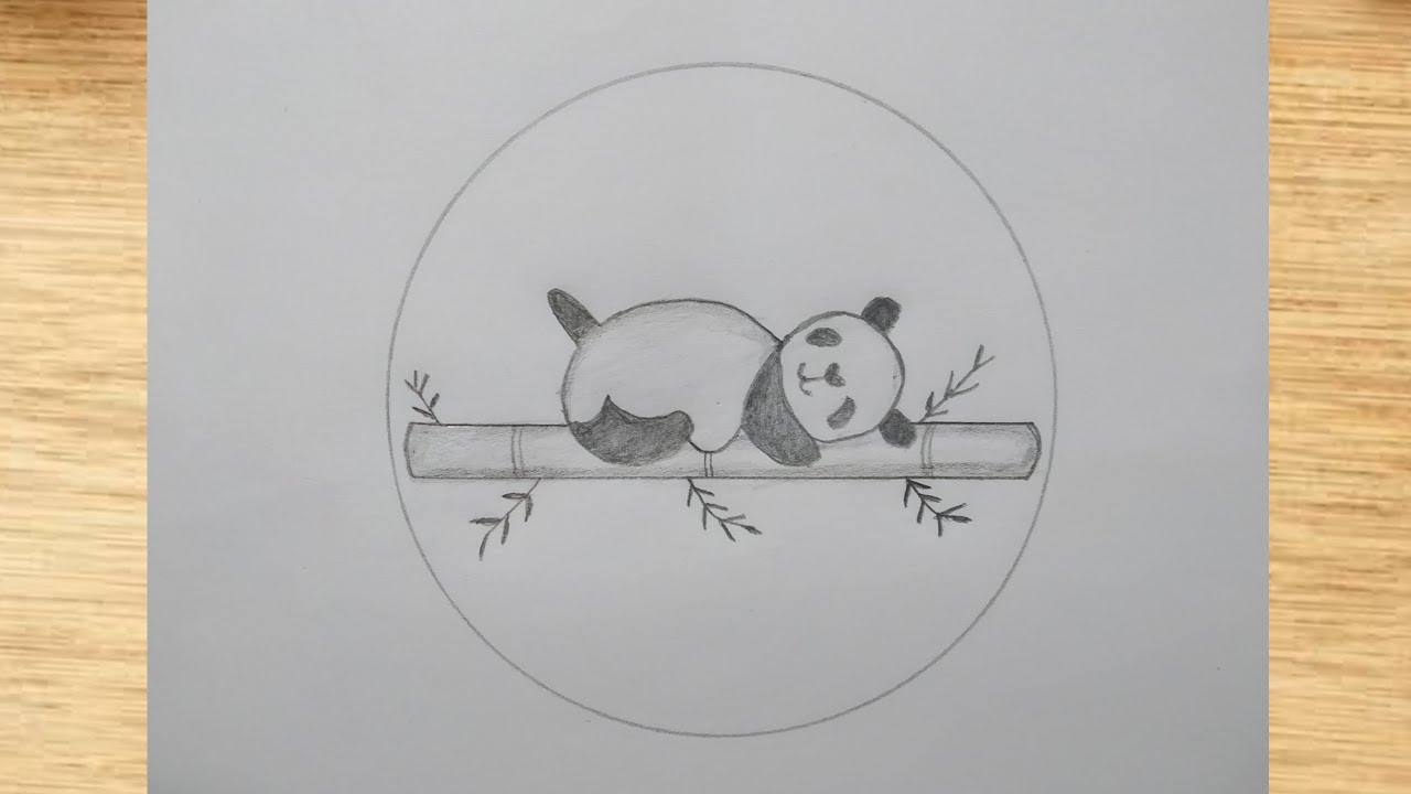 Circle panda drawing tutorial. pencil circle panda drawing. Bizli ...