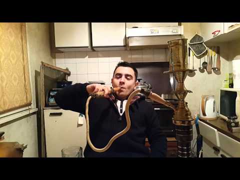 Smoking hookah (turkish nargile)