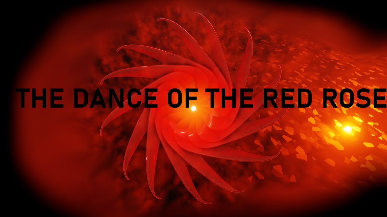 THE DANCE OF THE RED ROSE - YouTube