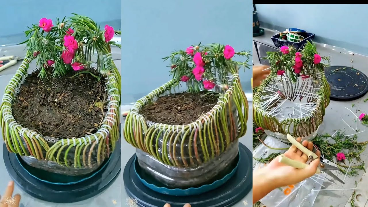 Beautiful small Garden ideas for home, creative going ideas, #gardening ...