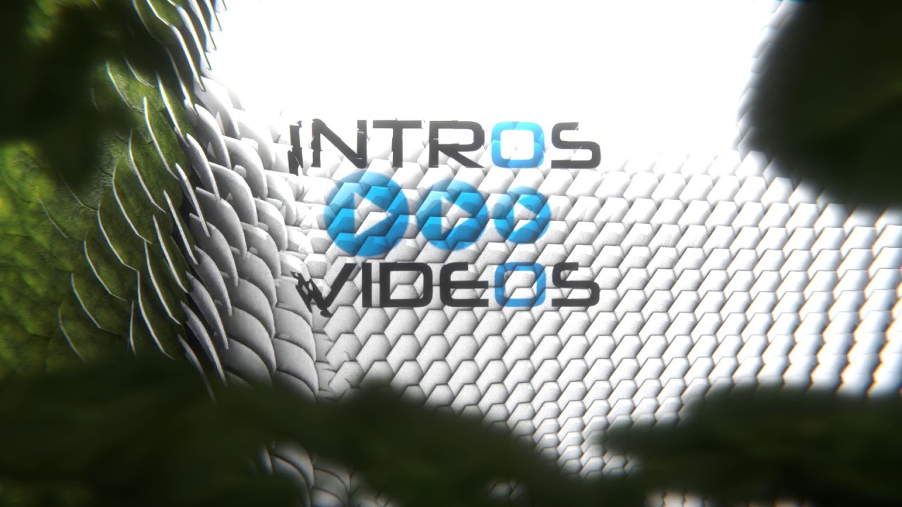 Intro Vidéo - Logo 2 - YouTube