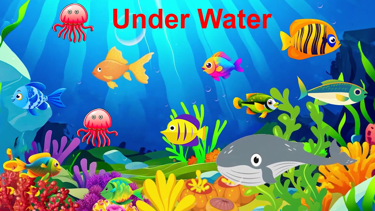 Baby Animals At the Farm Song! 2 HOURS of Fish Lullaby Kids Songs ...