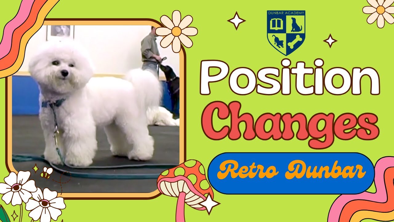 Adult Dog Training - Position Changes - Retro Dunbar S1E8 - YouTube