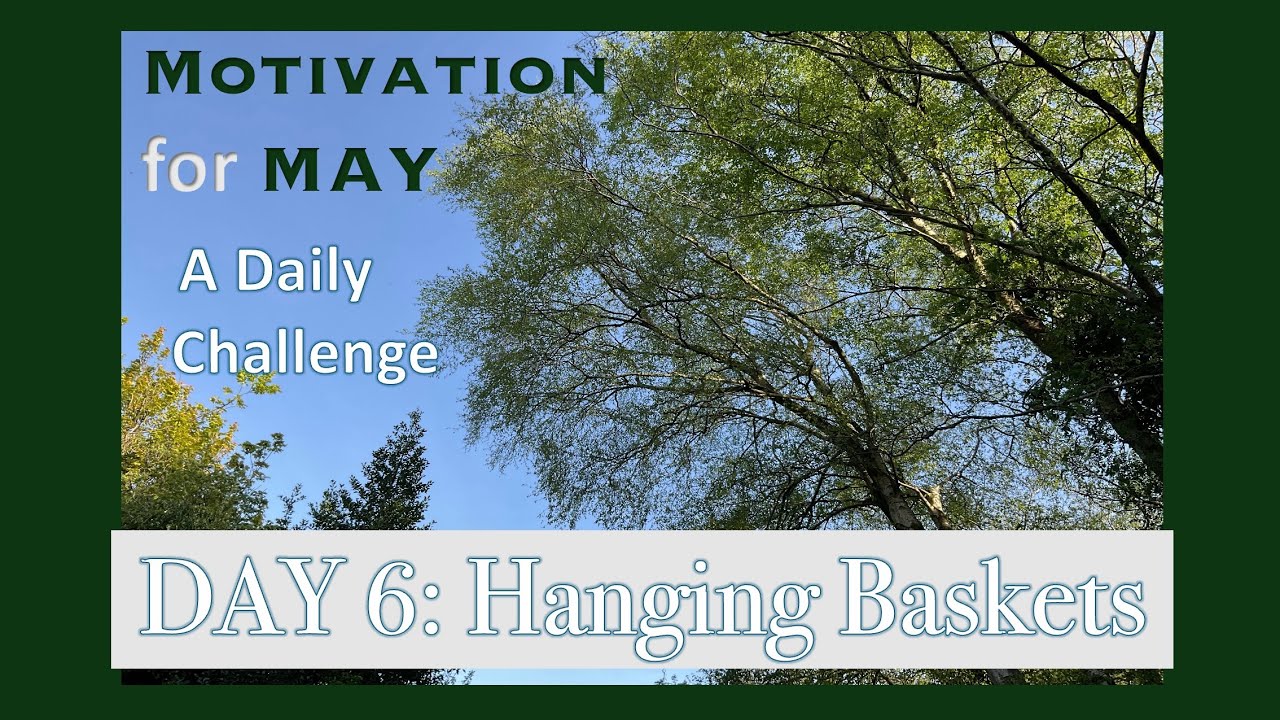 Day 6 of Motivations for May and today I tackled a little project I’ve ...