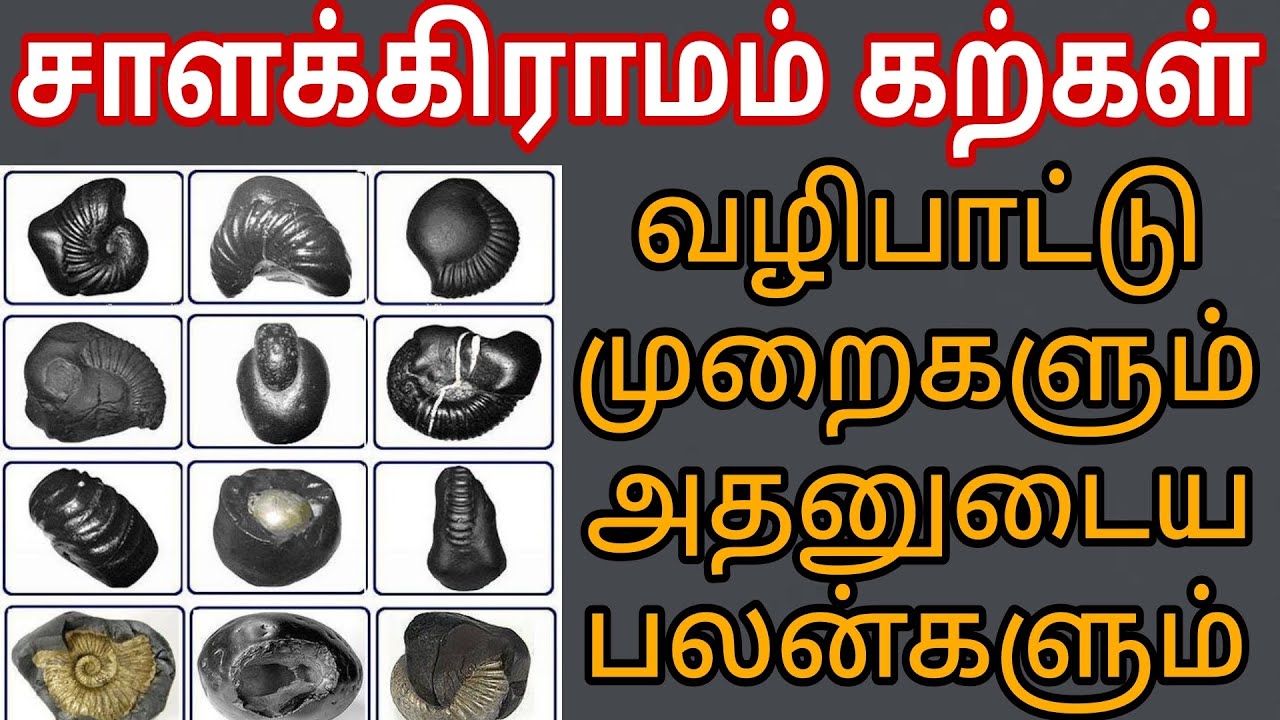 சாளக்கிராமம் வைத்து வழிபடுவது எப்படி? How to worship Salagrama stone at ...