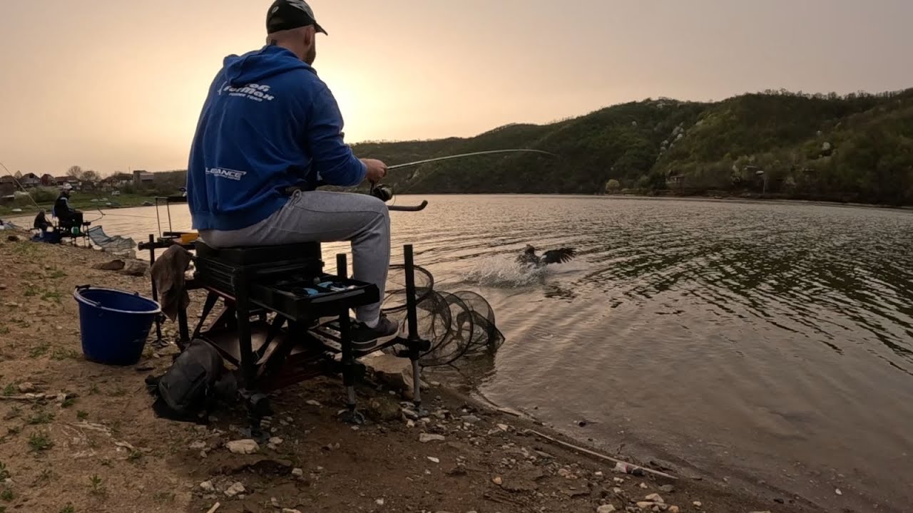 Pecanje sitne deverike na Jezeru Celije! - YouTube