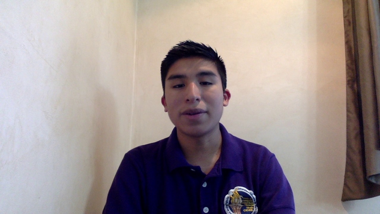 STEM CIDEB: Digestive System - YouTube