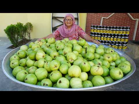 Healthy & Refreshing Guava Juice | Summer Special Drink | Veg Village Food
