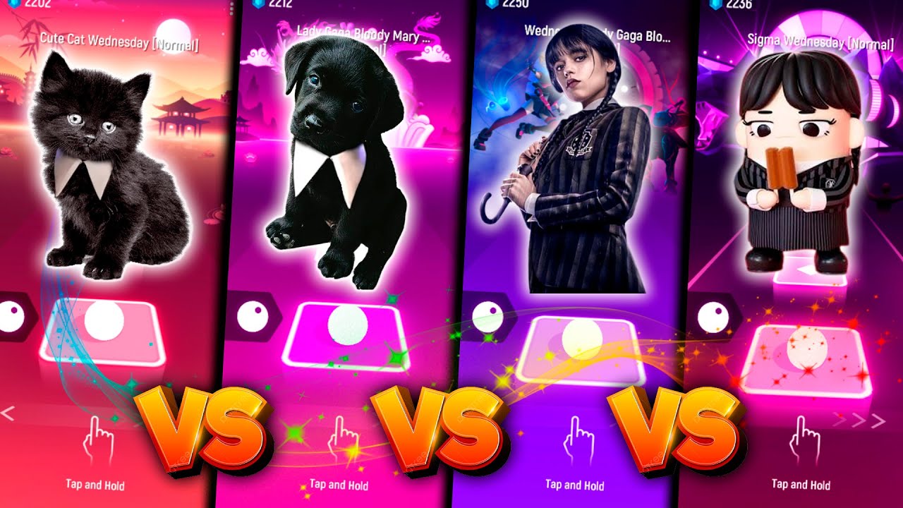 CUTE CAT WEDNESDAY VS CUTE DOG WEDNESDAY VS WEDNESDAY ADDAMS VS SIGMA ...