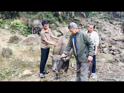 Tu is very happy to welcome the new member. Life is getting better and better.